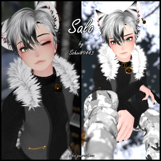 Salo » VRModels - 3D Models for VR / AR and CG projects