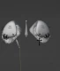 Pup ears ZOXL » VRModels - 3D Models for VR / AR and CG projects