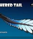 Feathered Tail » VRModels - 3D Models for VR / AR and CG projects